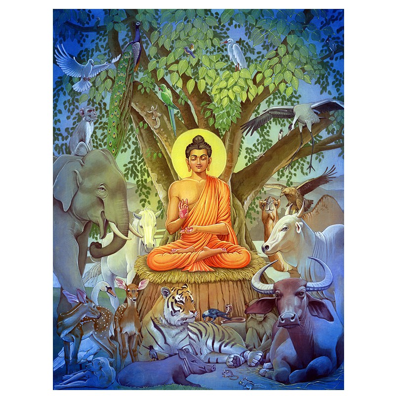 Total Liberation: The Buddhist Eight-Fold Path, Animal Justice, and ...